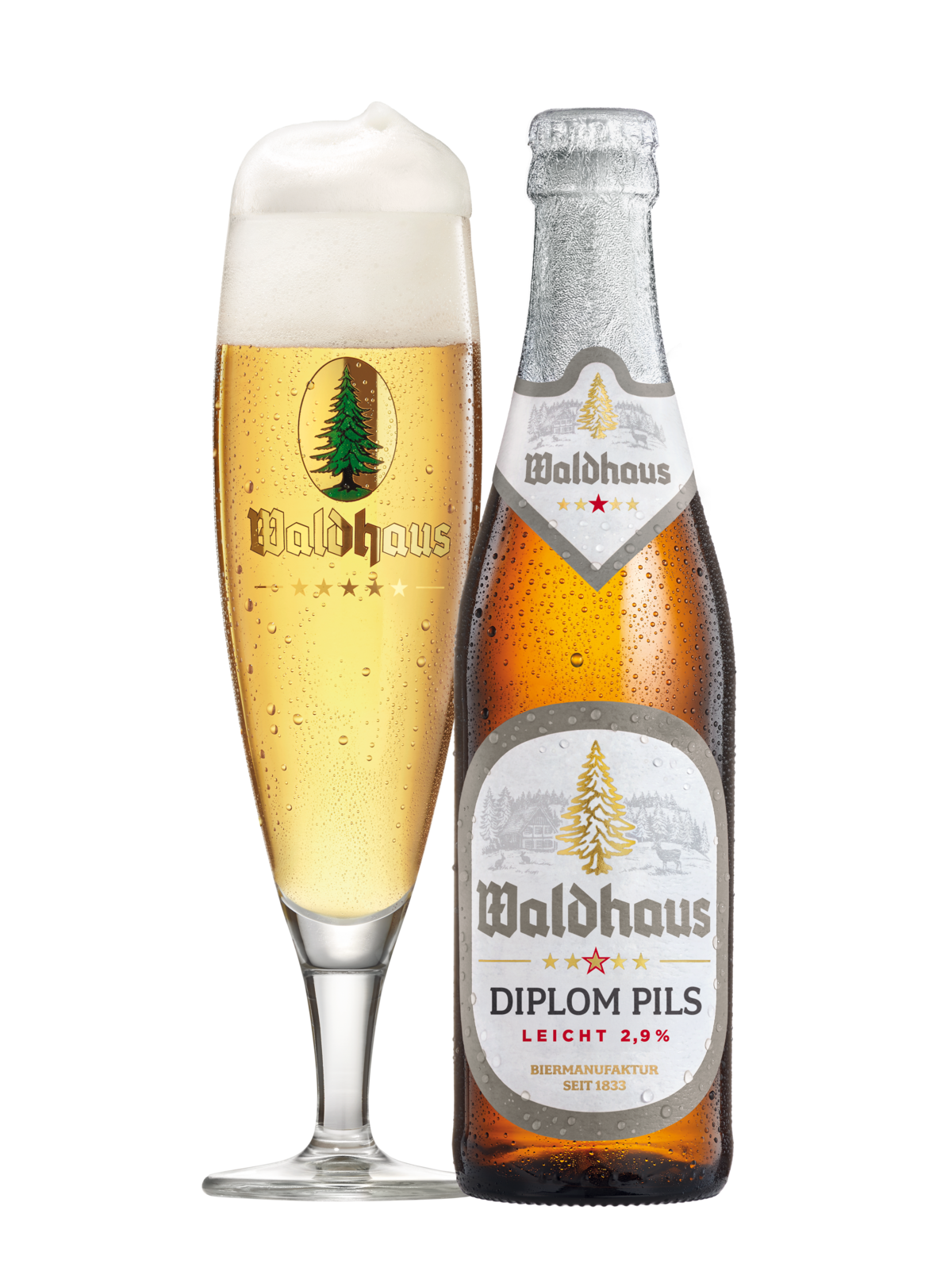 Waldhaus Diplom Pils Leicht